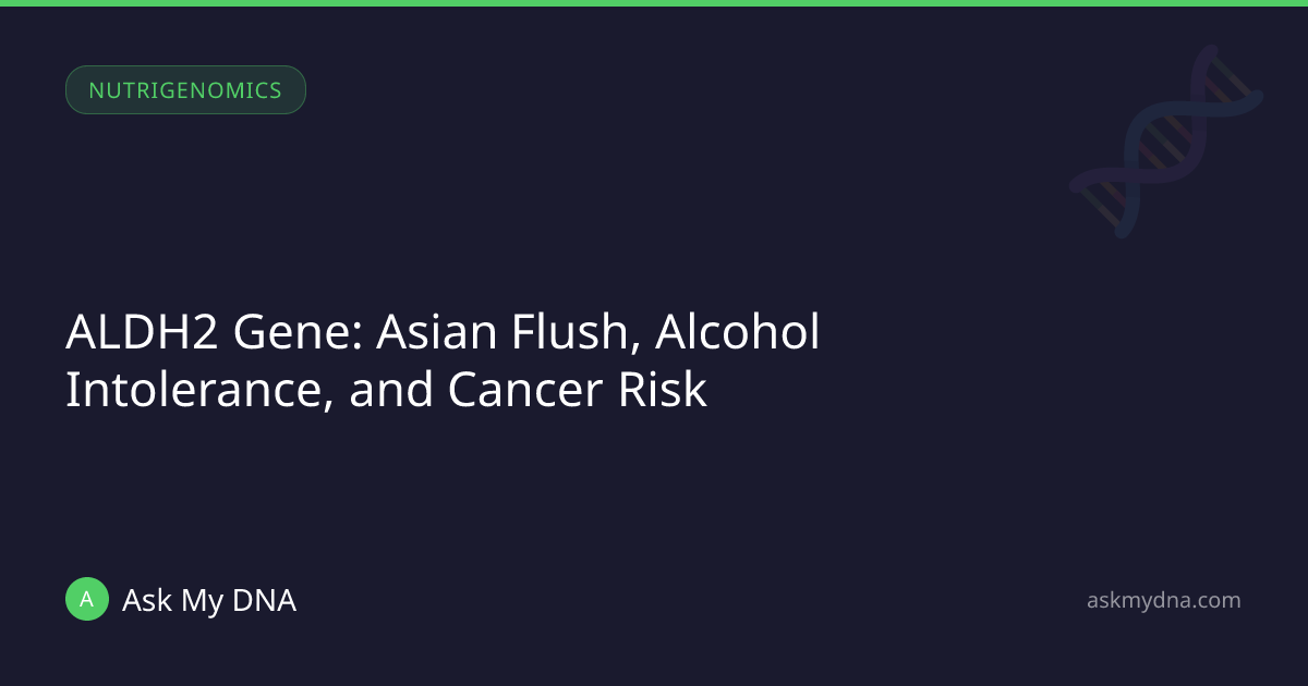 Is Asian Flush Dangerous? What Your ALDH2 Gene Reveals