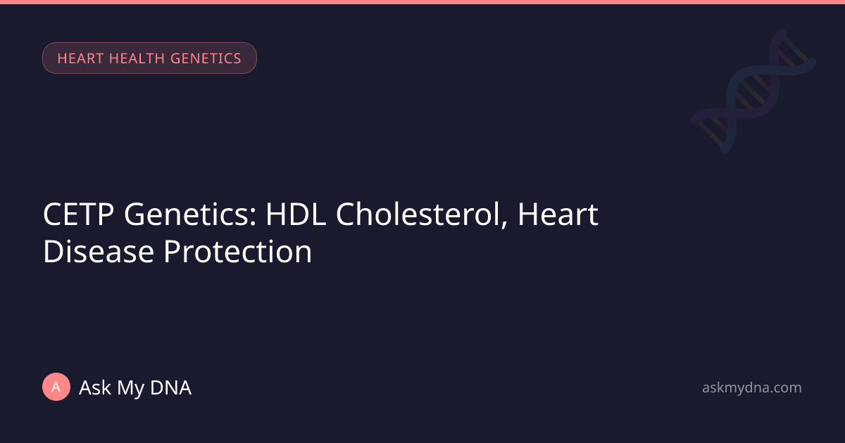 CETP Genetics: HDL Cholesterol, Heart Disease Protection