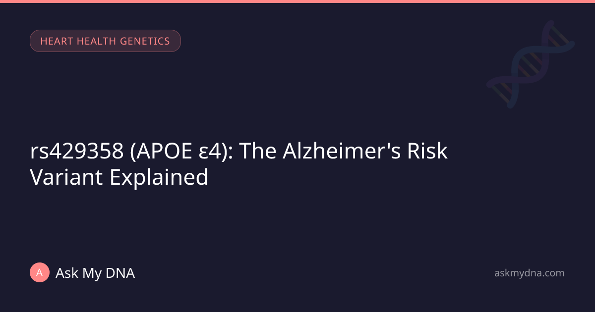 rs429358 APOE e4: Alzheimer's Risk Variant Guide