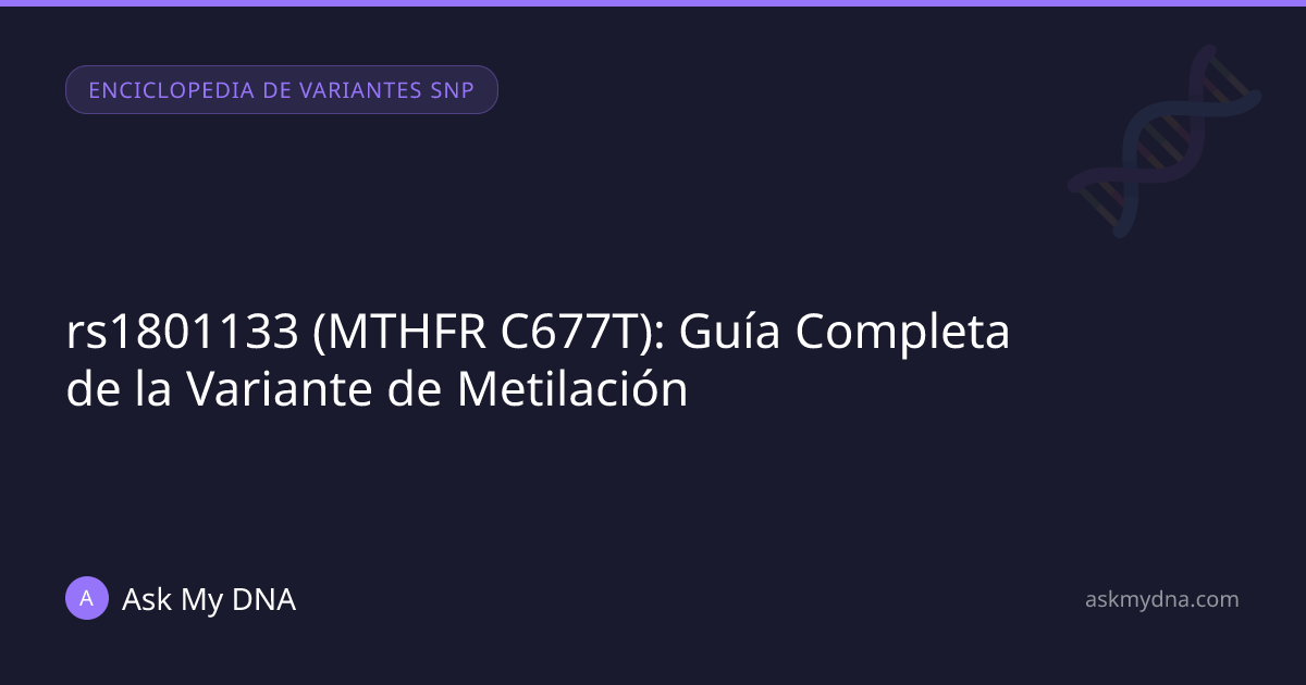 rs1801133 MTHFR C677T: Guía Variante Metilación
